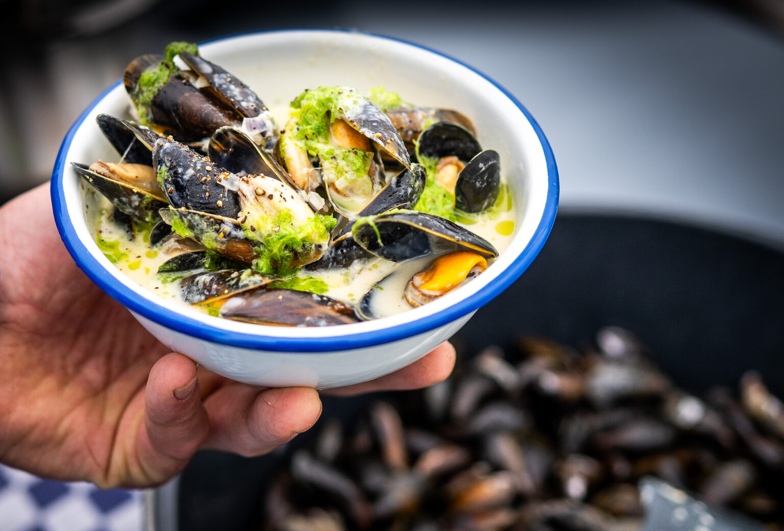 3. Mosselrecept met Jonge Zeeuwse door Daan van der Lecq - Mosselen. Zo ...